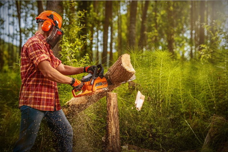 Održavanje lančane testere | Villager Store